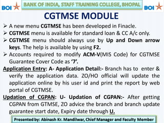 CGTMSE & other loan guarantee schemes | PDF