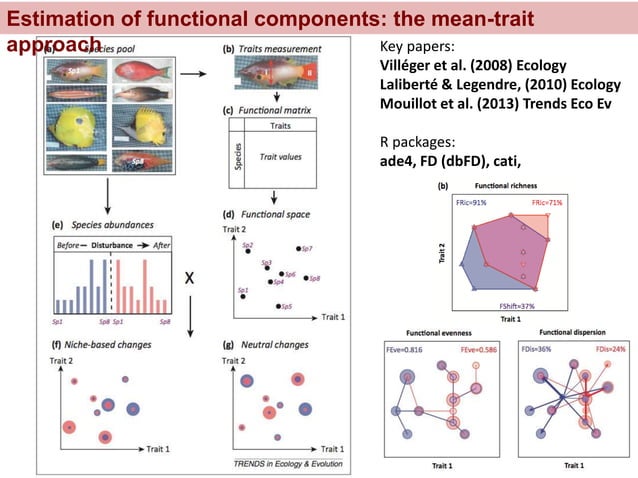 Estimating ecosystem functional features from intra-specific trait data ...