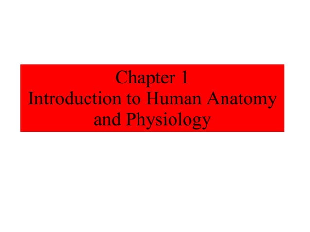 Ch. 01 Intro to A & P | PPT
