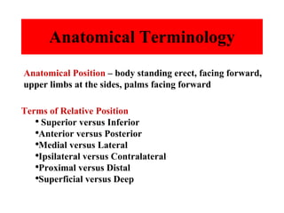 Ch. 01 Intro to A & P | PPT