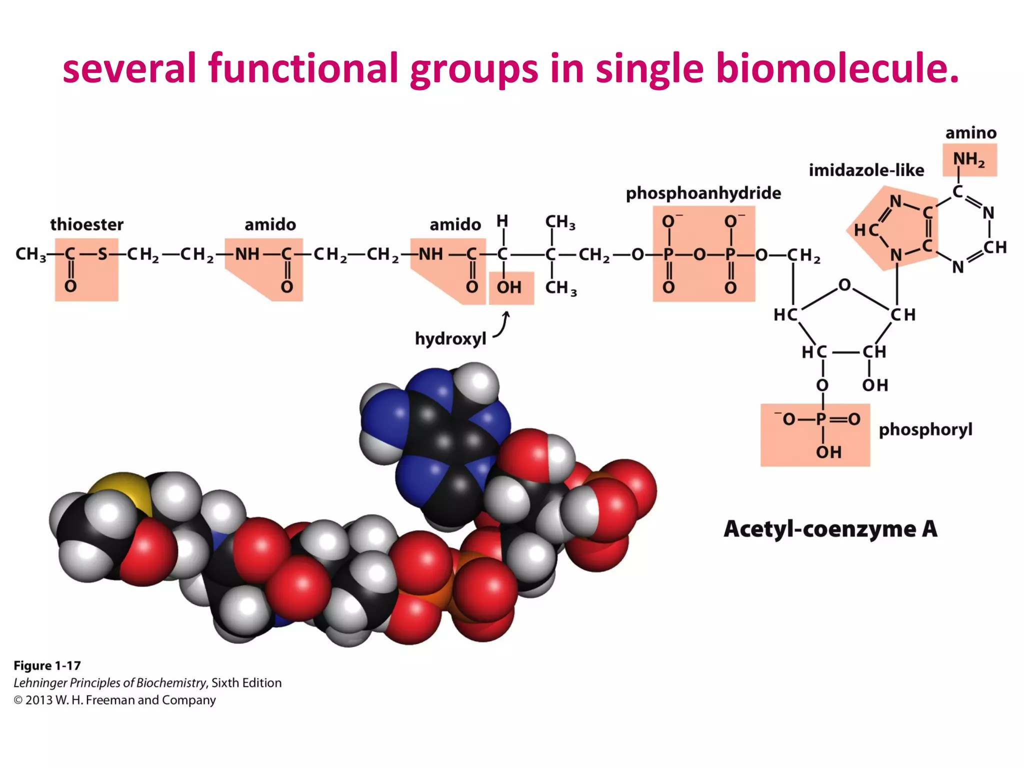 lehninger(sixth edition) Ch 01: The foundations of biochemistry | PPT