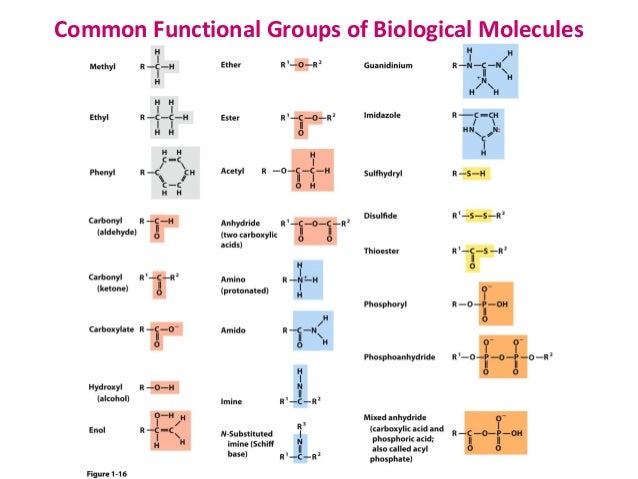 lehninger(sixth edition) Ch 01: The foundations of biochemistry