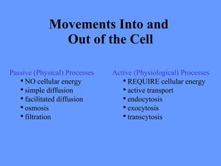 Ch. 03 Cell | PPT