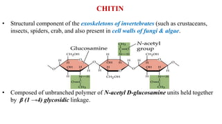 CH- 04 Polysaccharides by Santhosh Kumar N | PPTX
