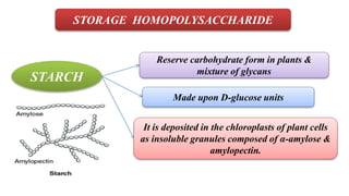 CH- 04 Polysaccharides by Santhosh Kumar N | PPT