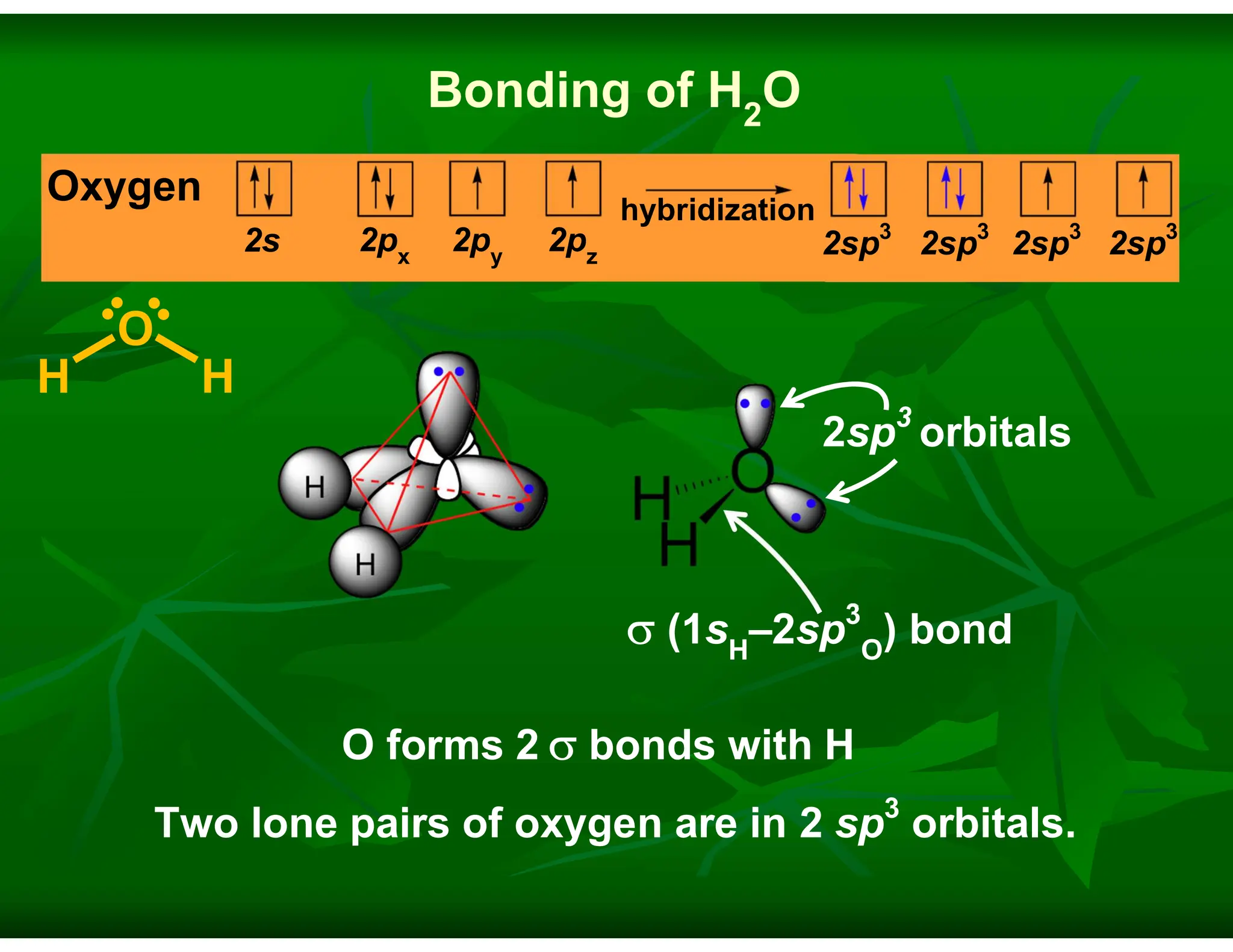 Ch-1 organic chemistry, type of bond, hybridization | PPT