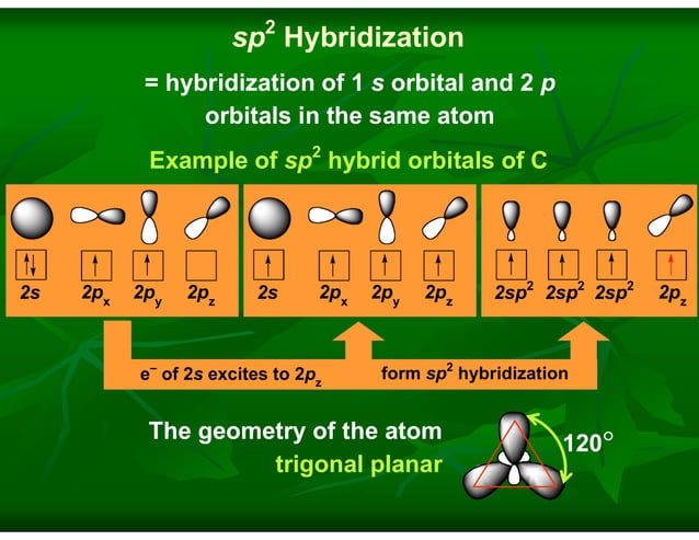 Ch-1 organic chemistry, type of bond, hybridization | PPT