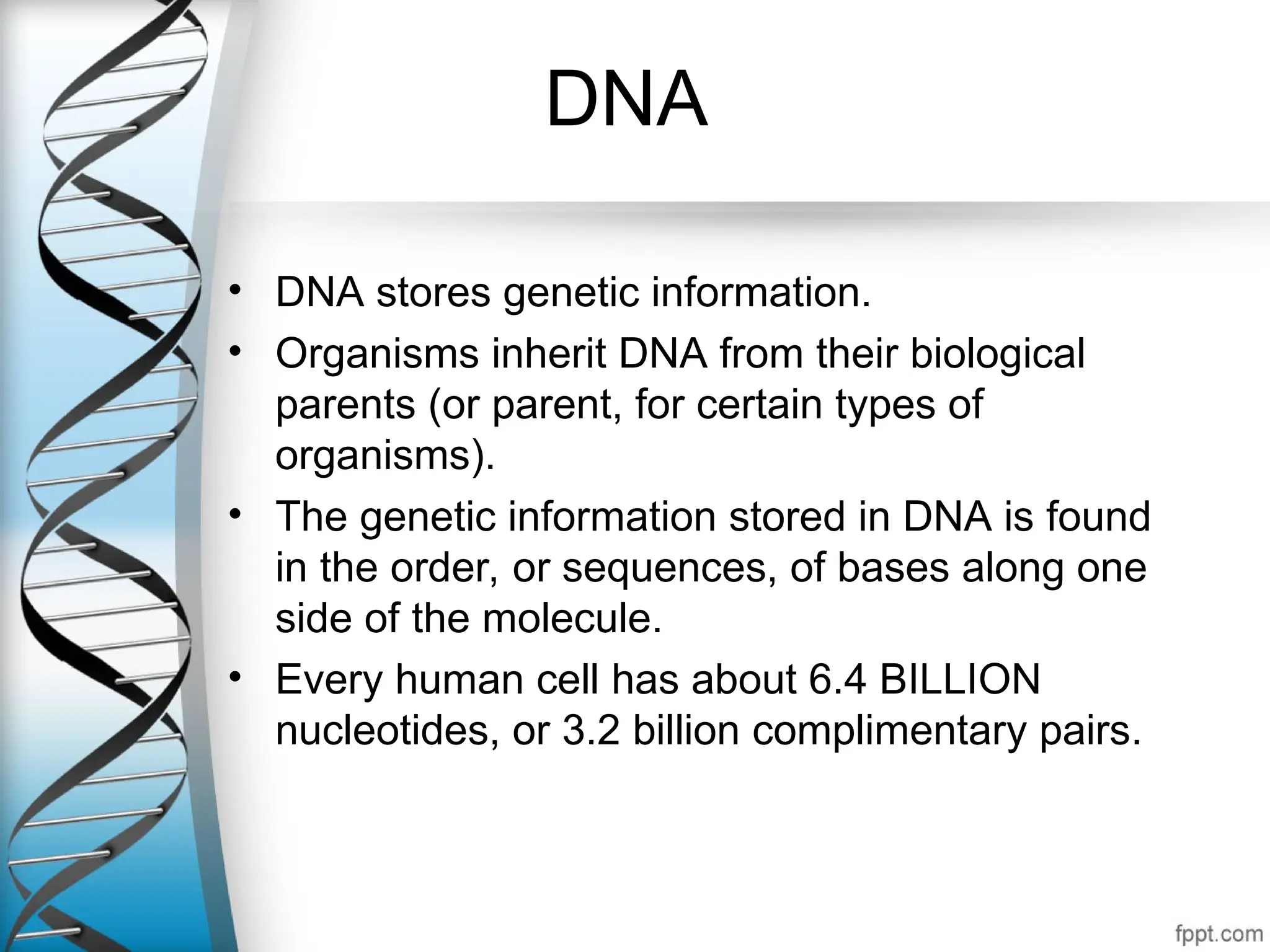 ch-1.1.ppt biology DNA Highschool science | PPT