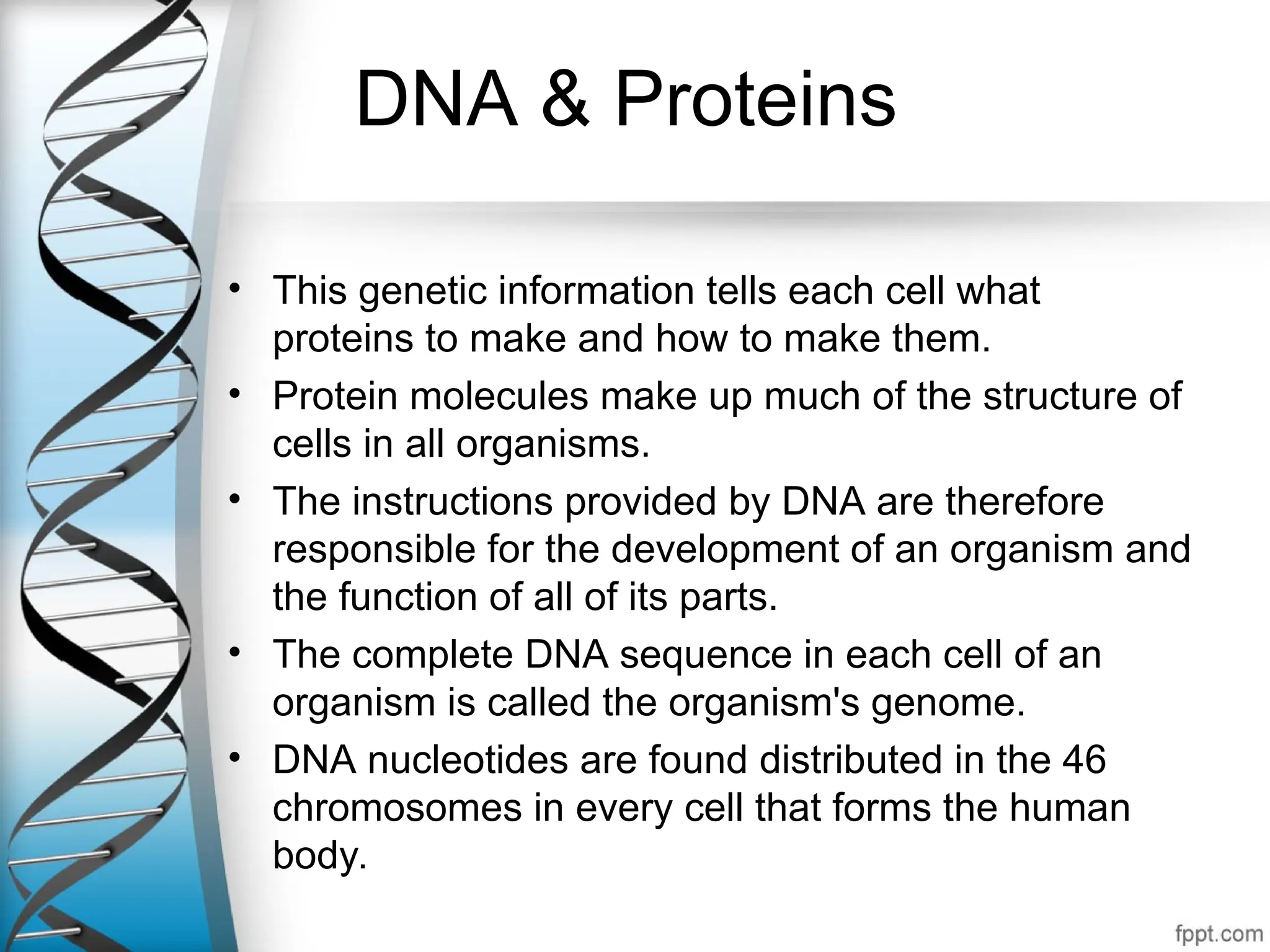 ch-1.1.ppt biology DNA Highschool science | PPT