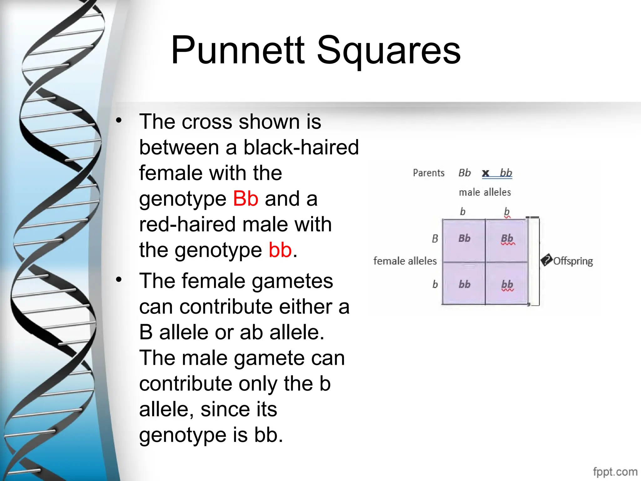 ch-1.2.ppt biology heredity high school science | PPT
