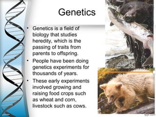 ch-1.2.ppt biology heredity high school science | PPT