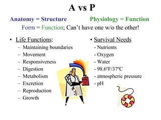 Ch 1 Intro Ap | PPT