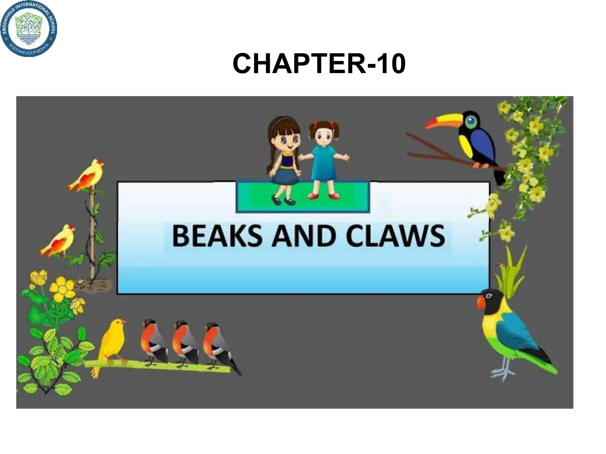 Beaks and claws types of claws preening migration | PPTX