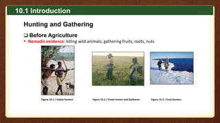 ch-1gjvvgg0-ppt-agriculture-and-food.pptx