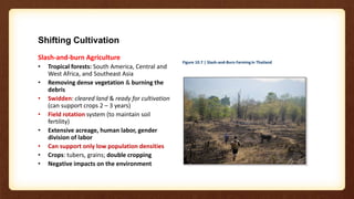 ch-1gjvvgg0-ppt-agriculture-and-food.pptx