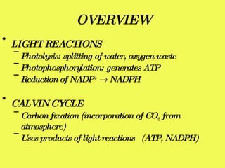 Ch. 10 Photosynthesis | PPT