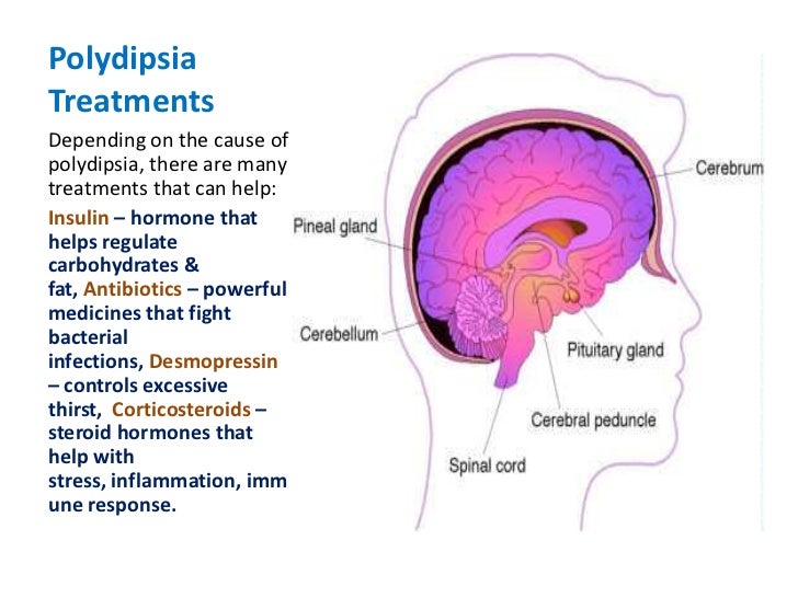 Ch. 11 polydipsia