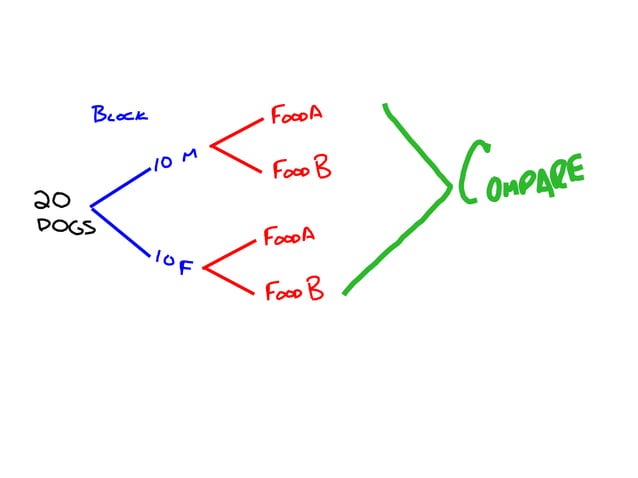 Ch. 13 4 Confounding Variables | PPT