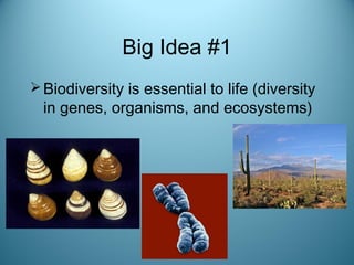 APES Ch. 4, part 1 | PPT