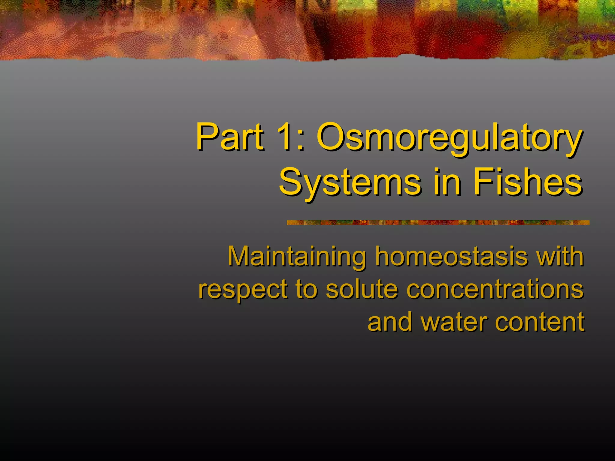Ch. 7 (homeostasis osmoregulation, endocrine, temperature) | PPT