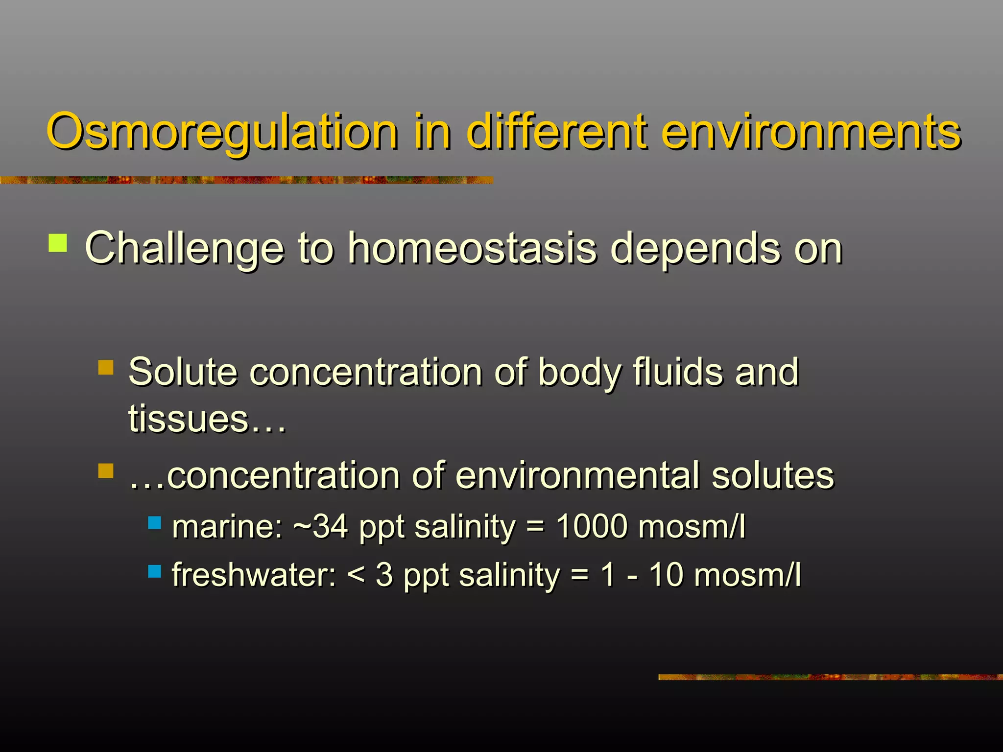 Ch. 7 (homeostasis osmoregulation, endocrine, temperature) | PPT