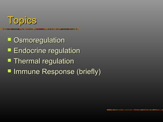 Ch. 7 (homeostasis osmoregulation, endocrine, temperature) | PPT