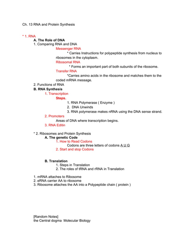 Ch. 13 rna & protein synthesis notes | DOC