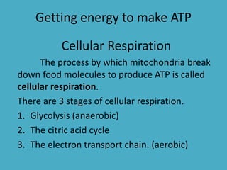 Cellular respiration | PPT