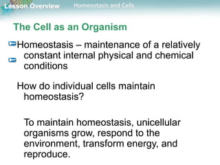 Ch. 7.4 Summary - Homeostasis | PPT | Biological Sciences | Science