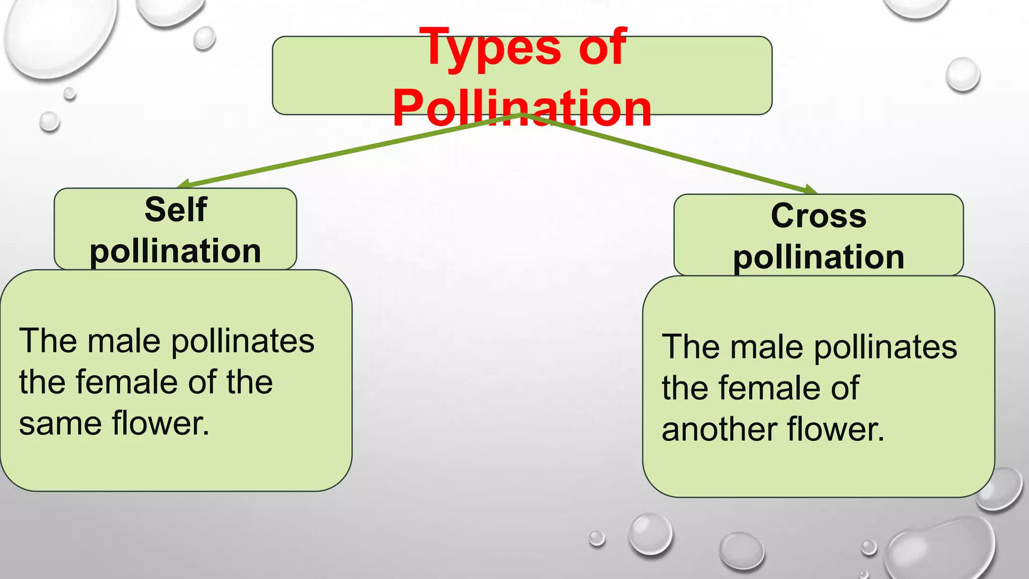 Ch.2.less.2.how do plants grow, develop and reproduce | PPTX