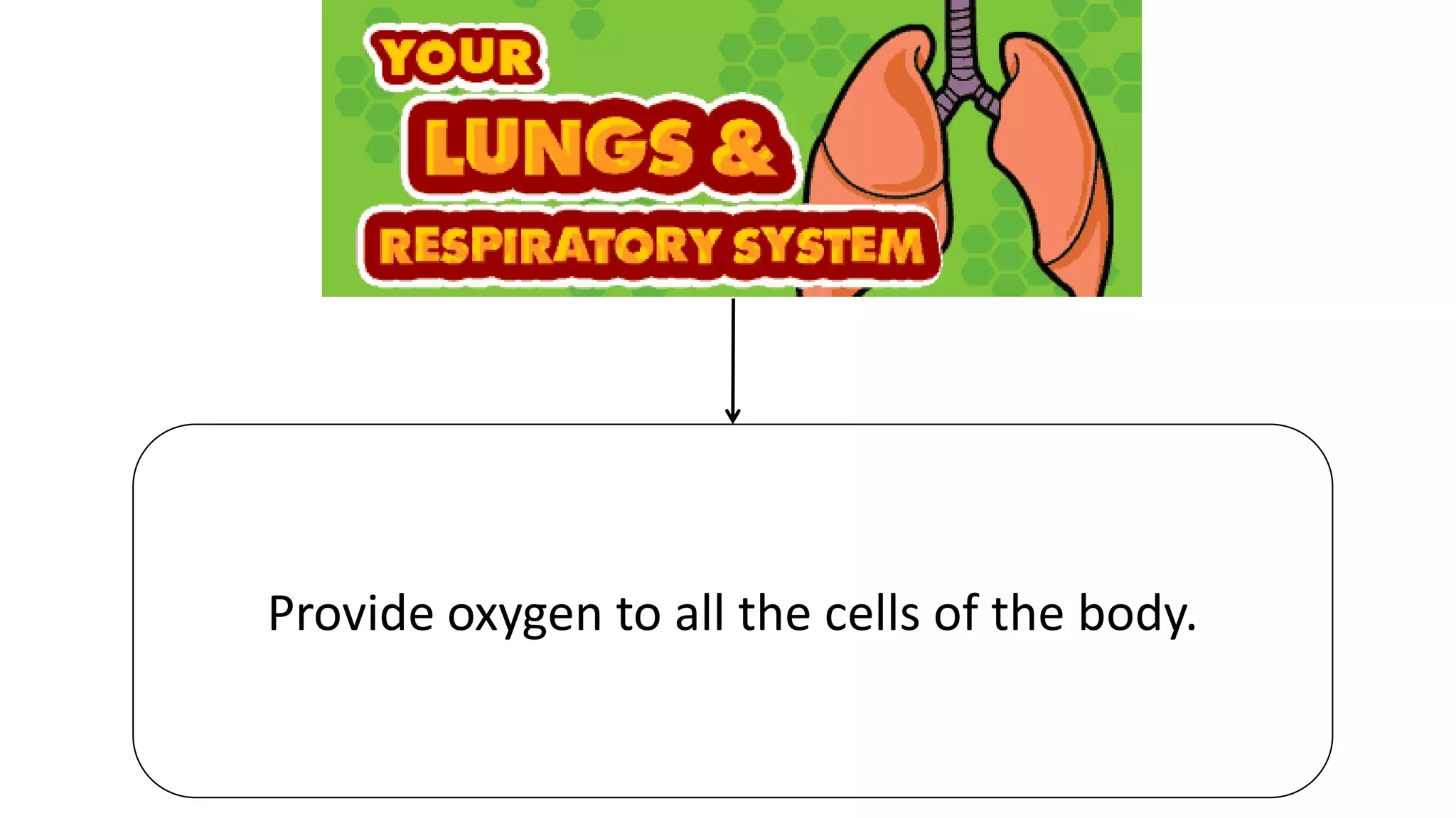 Ch.1.less.5.how do body systems work together to carry out life ...