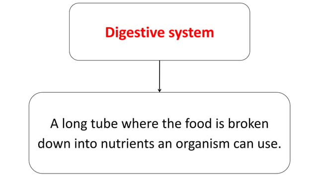 Ch.1.less.5.how do body systems work together to carry out life ...