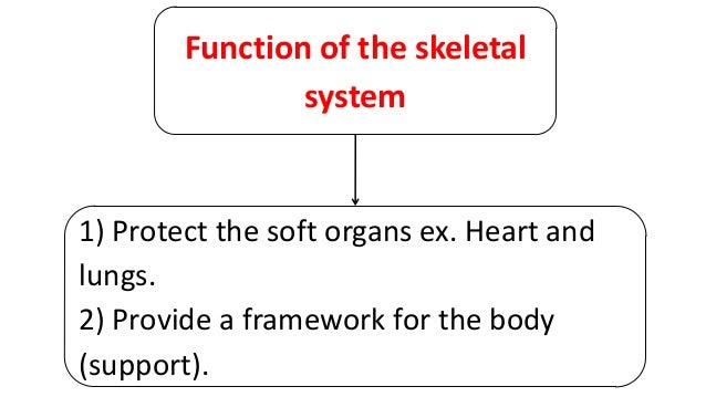 Ch 1 less 5 how Do Body Systems Work Together To Carry Out Life Funct ch-1-less-5-how-do-body-systems-work-together-to-carry-out-life-funct