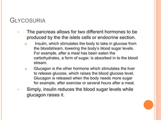 Ch. 11 endocrine system-suffixes and terms | PPT