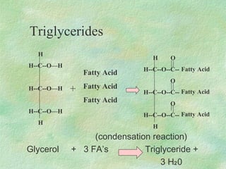 Ch. 5 fat types functions | PPT | Chemistry | Science