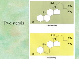Ch. 5 fat types functions | PPT | Chemistry | Science