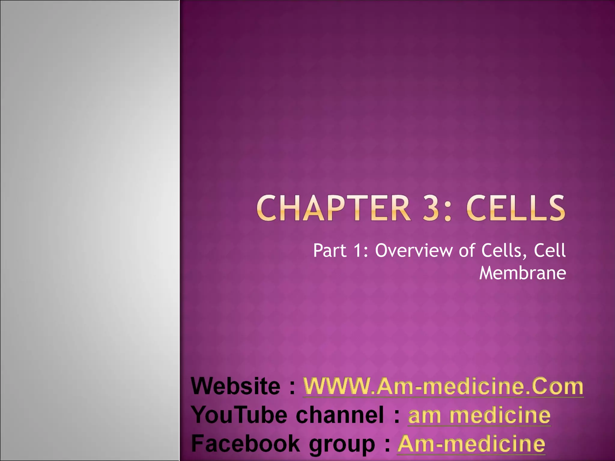 Anatomy & Physiology Lecture Notes - Ch. 3 cells - part 1 | PPT