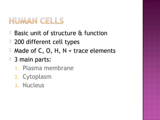 Anatomy & Physiology Lecture Notes - Ch. 3 cells - part 1 | PPT