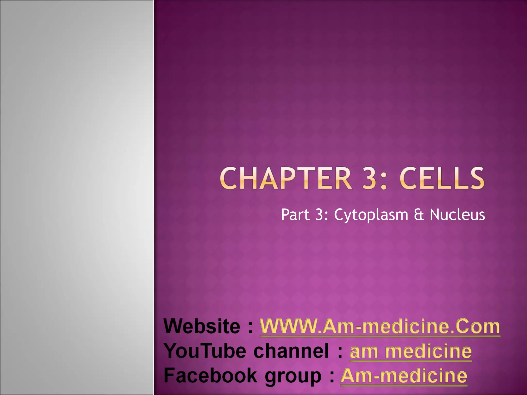 Anatomy & Physiology Lecture Notes - Ch. 3 cells - part 3 | PPT