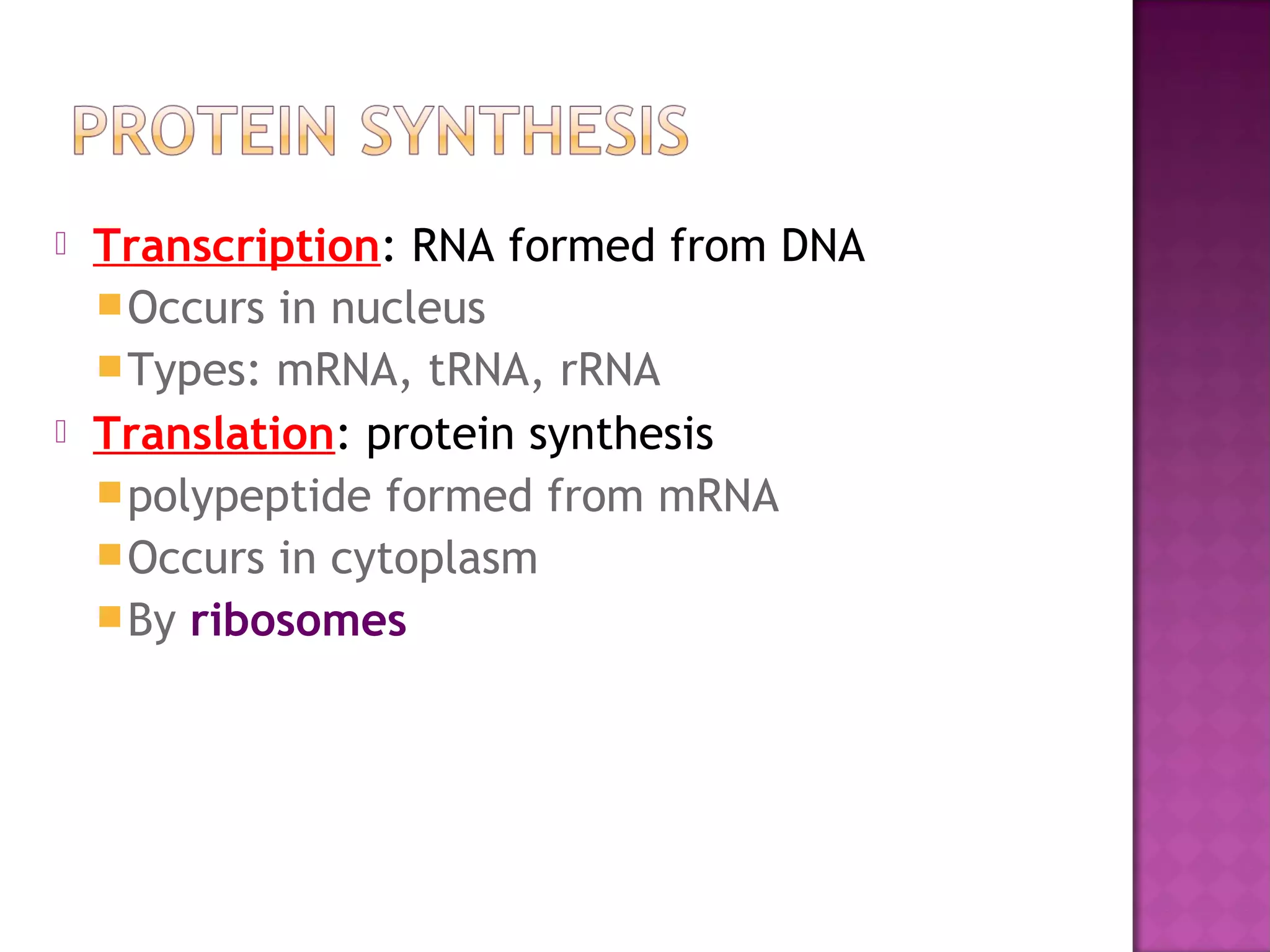 Anatomy & Physiology Lecture Notes - Ch. 3 cells - part 3 | PPT