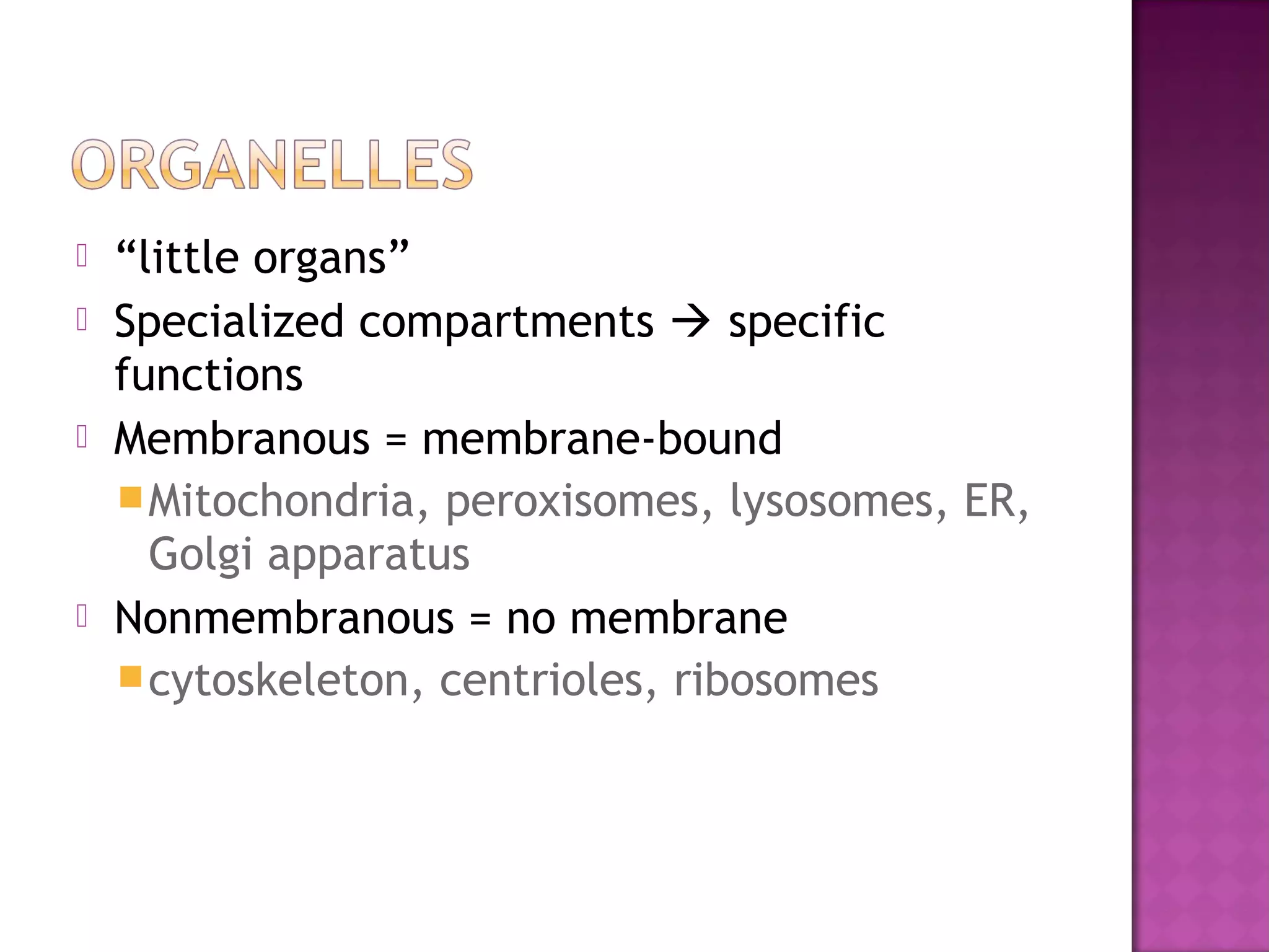 Anatomy & Physiology Lecture Notes - Ch. 3 cells - part 3 | PPT