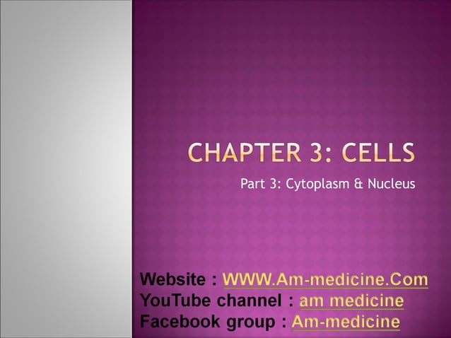 Anatomy & Physiology Lecture Notes - Ch. 3 cells - part 3 | PPT