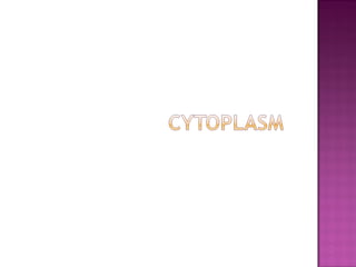Anatomy & Physiology Lecture Notes - Ch. 3 cells - part 3 | PPT