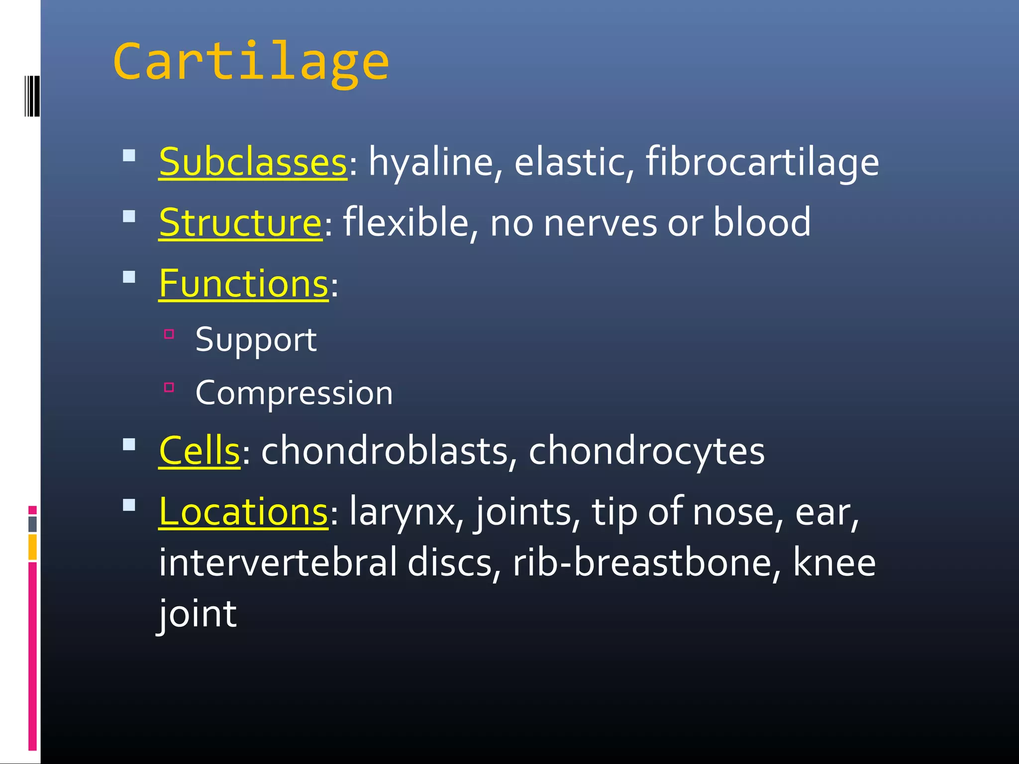 Anatomy & Physiology Lecture Notes - Ch. 4 tissues - connective | PPT