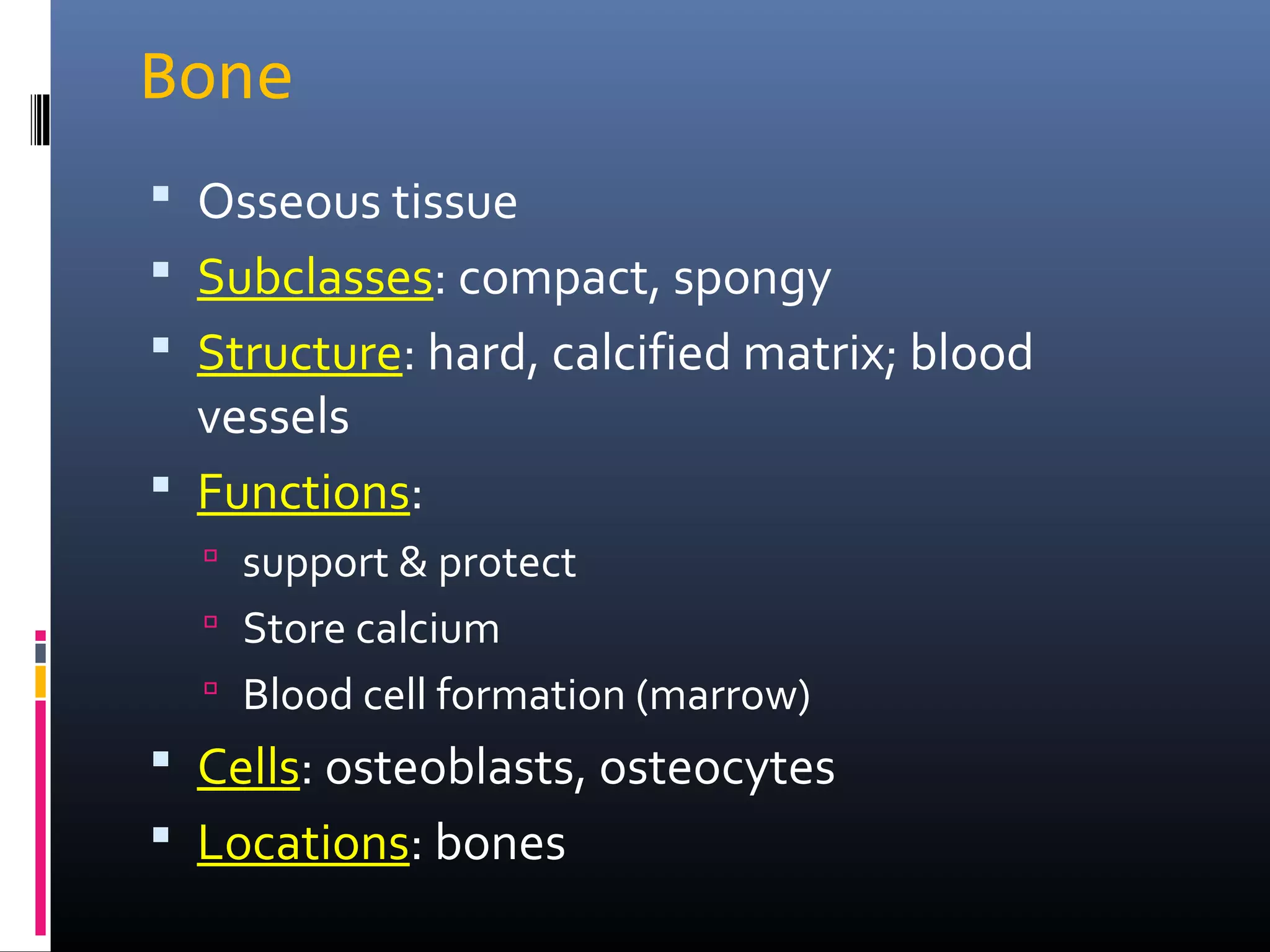 Anatomy & Physiology Lecture Notes - Ch. 4 tissues - connective | PPT