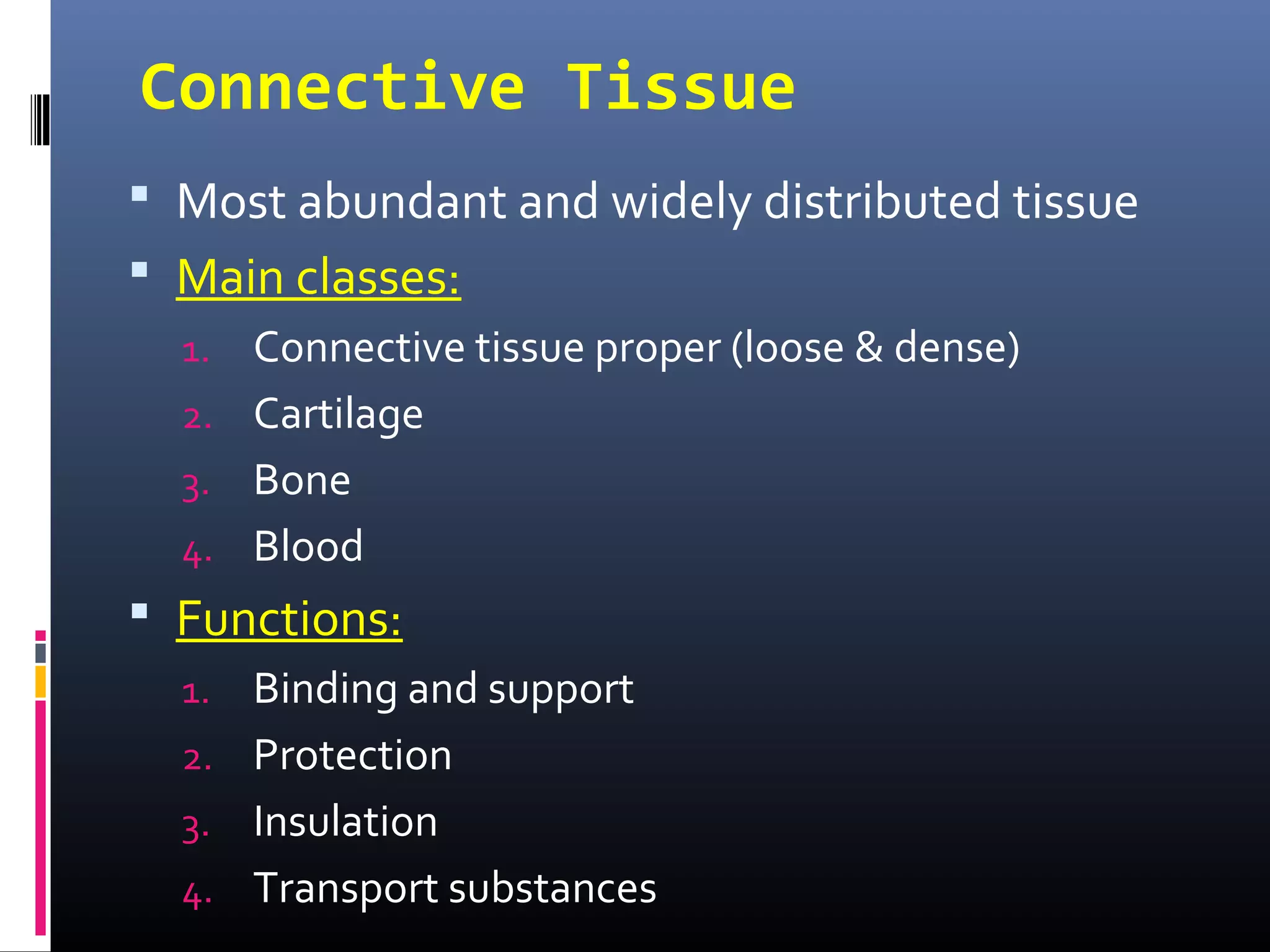 Anatomy & Physiology Lecture Notes - Ch. 4 tissues - connective | PPT