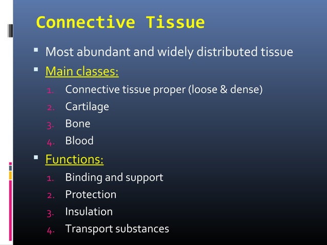 Anatomy & Physiology Lecture Notes - Ch. 4 tissues - connective | PPT ...