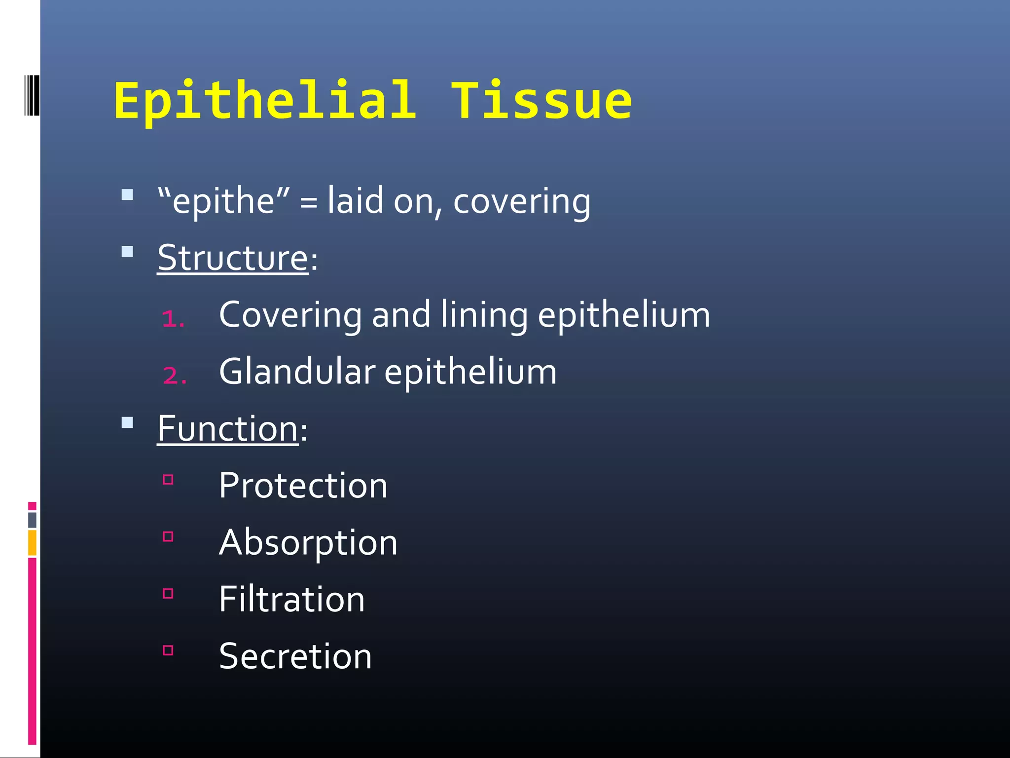 Anatomy & Physiology Lecture Notes - Ch. 4 tissues - epithelium | PPT