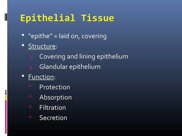 Anatomy & Physiology Lecture Notes - Ch. 4 tissues - epithelium | PPT