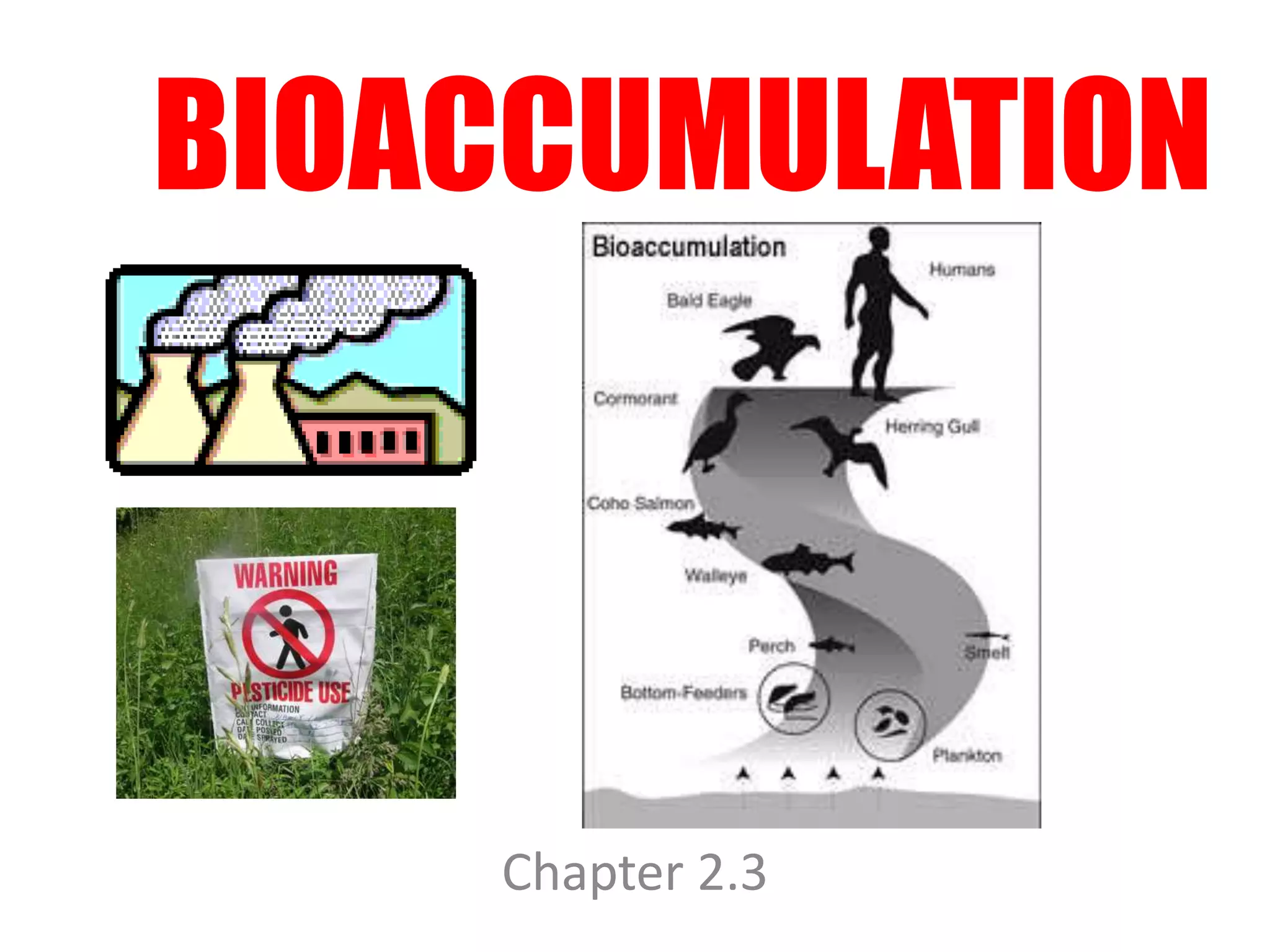 Bioaccumulation | PPT